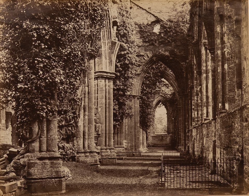 The show must go on: what American curators are up to in isolation: How ...